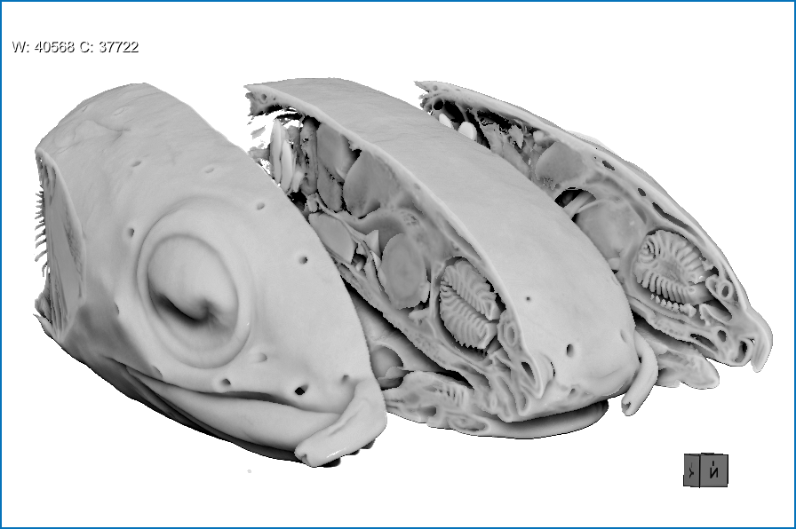 Creating Exploded Views