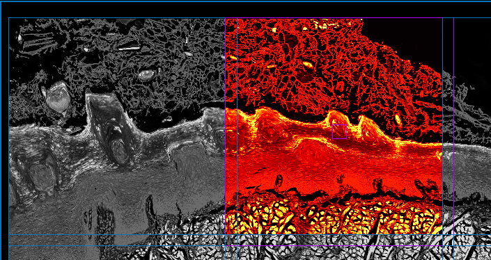Image Stitching Tutorial